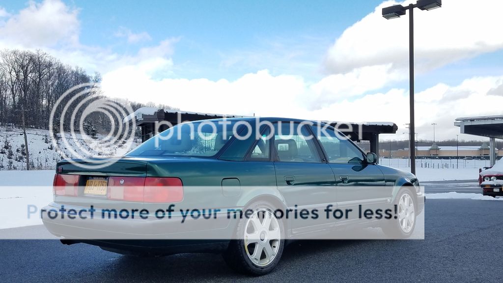 1994 Audi URS4 Cactus Green | VW Vortex - Volkswagen Forum
